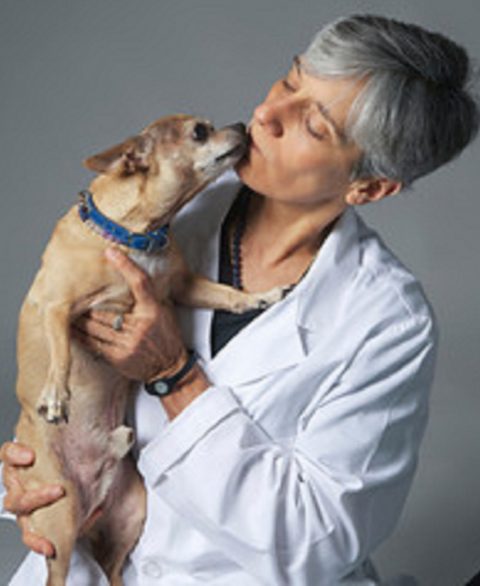 About - All Cats Healthcare